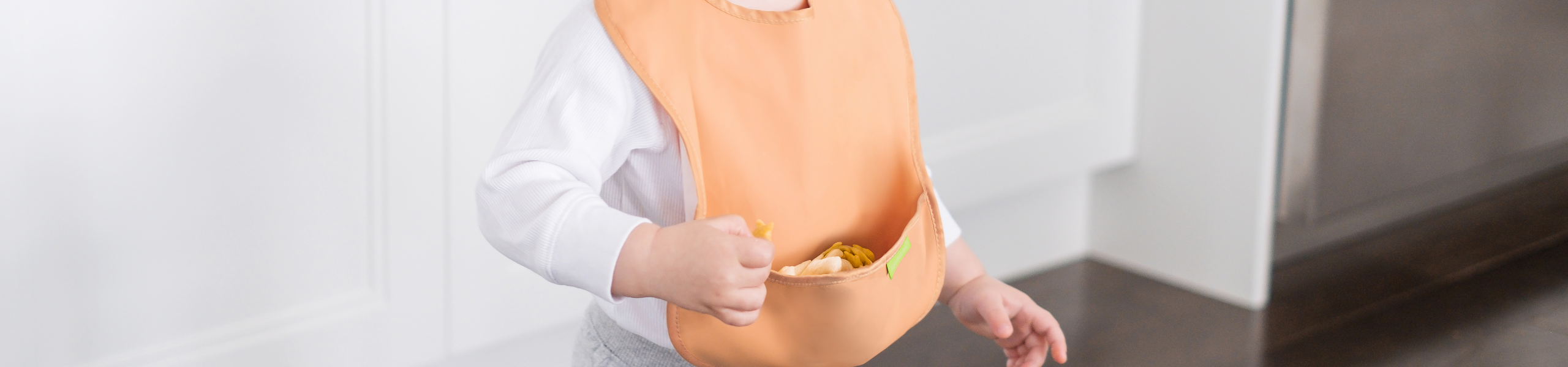 Waterproof Baby Bibs with Food Catcher for 6 to 36 Months | KeaBabies